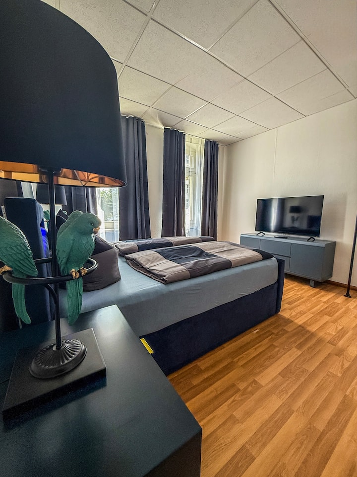 Steinplatz Flat - Erfurt