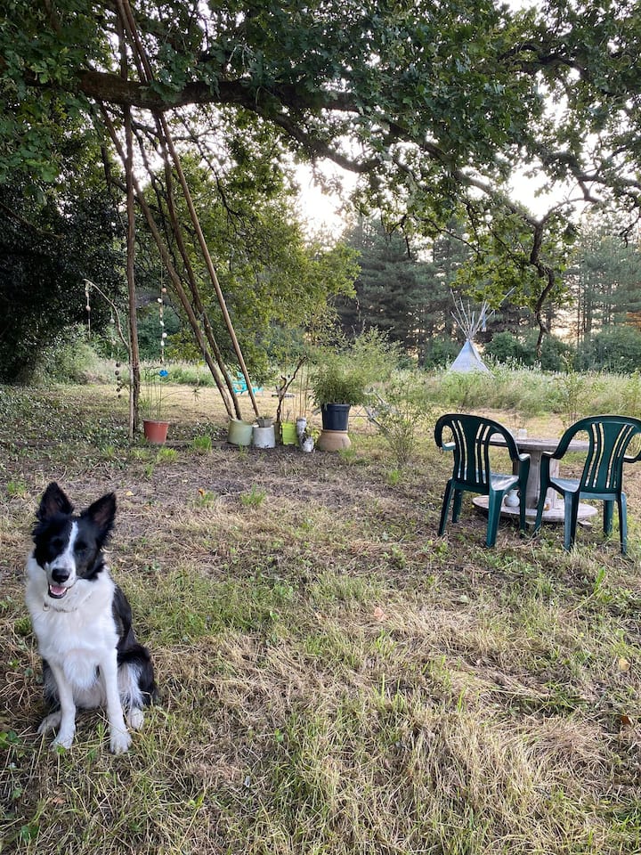 Place De Camping Champêtre - Créon