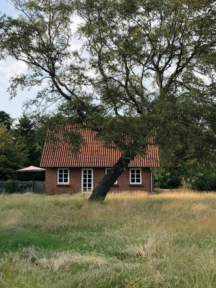 Sommerhus Ved Hav Og Fjord. - Husby