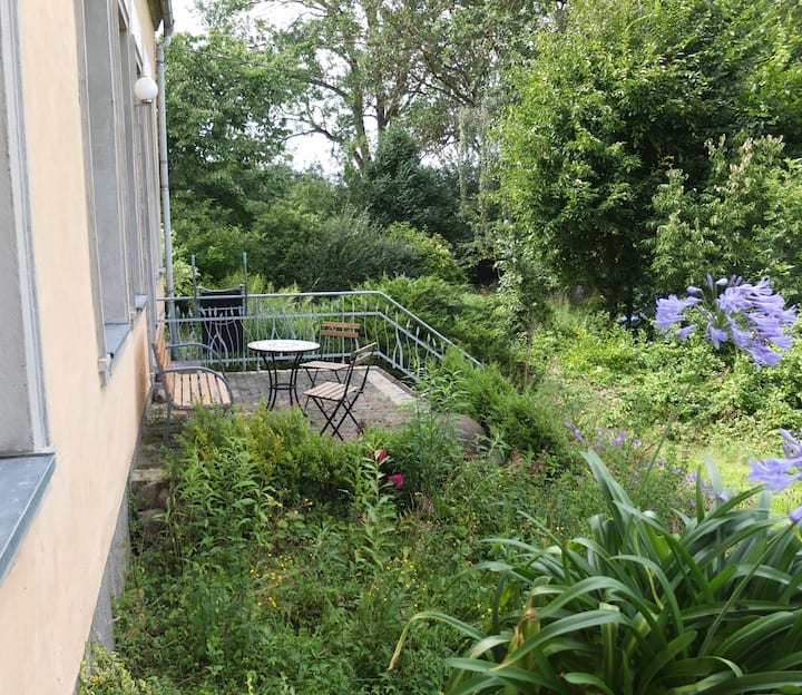 Ferienwohnung Schulzenhof - Mecklenburgische Seenplatte