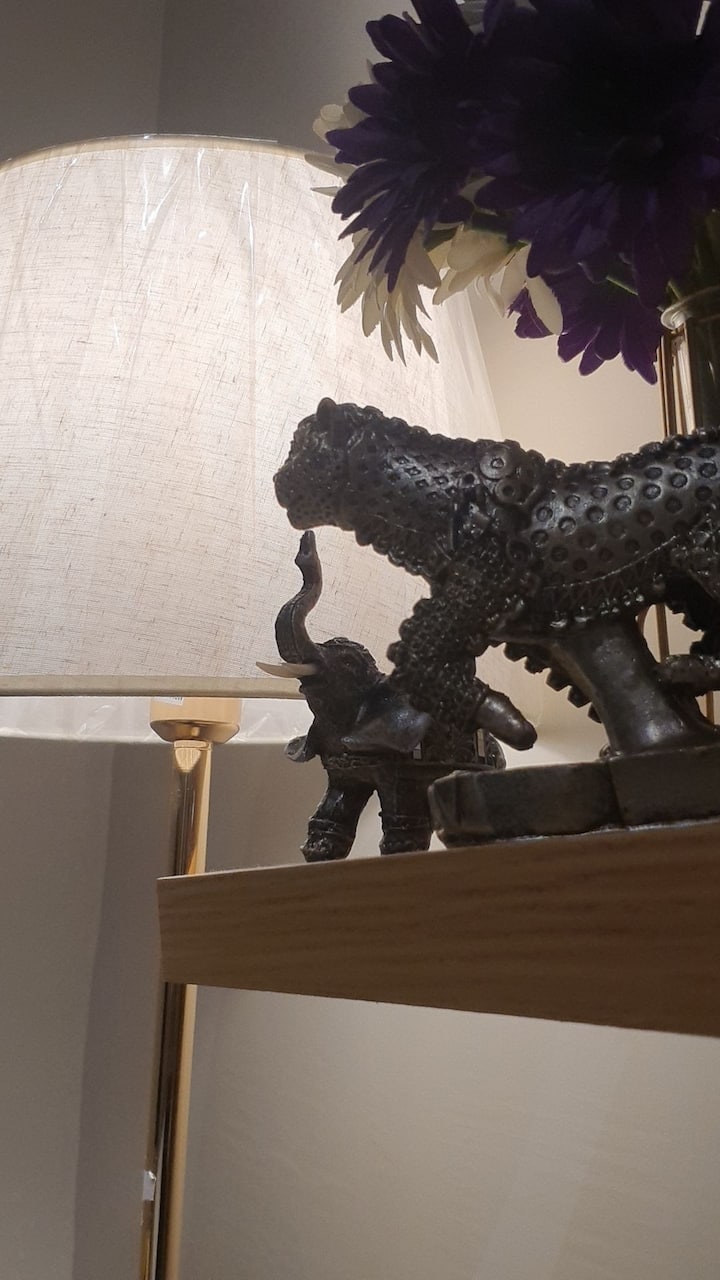 استديو جميل يتميز بالنظافة والهدوء - Jedda