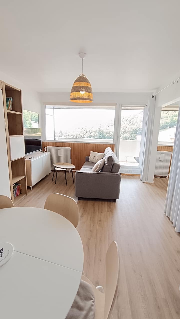 Appartement Refait à Neuf à 2 Pas Des Pistes - Chambon-sur-Lac