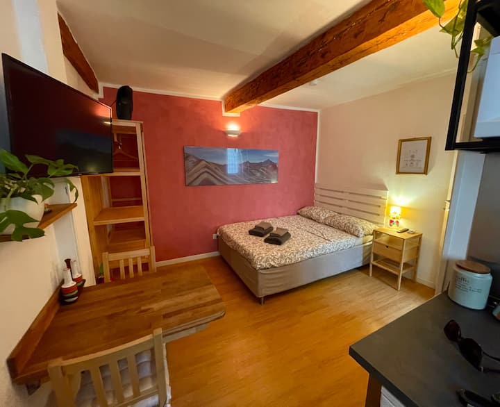 Mini Appartamento In Centro Storico - Modène