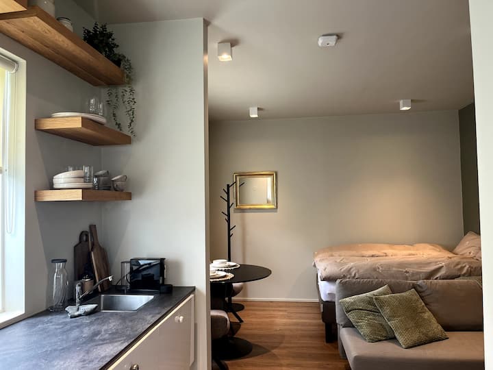 Green Leaf Studio - Cozy Apt - Islande