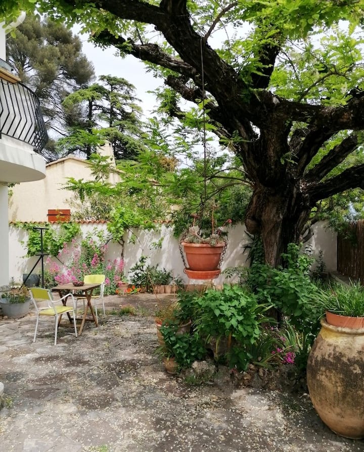 Appartement Avec Jardin à Cuers - Cuers