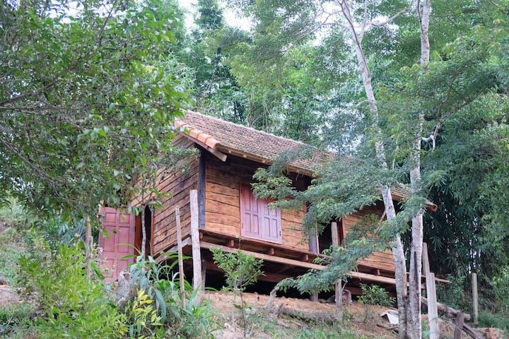 Two Cozy Wooden Houses On Hill - Quang Ngai