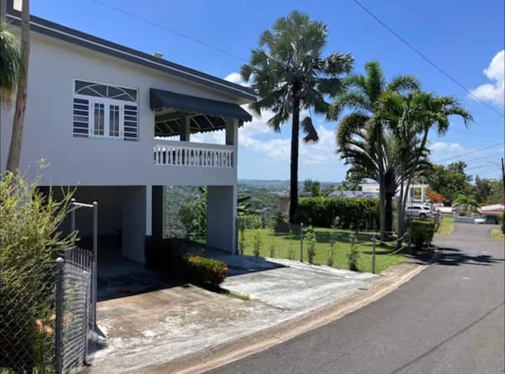 Borinquen Breeze - Levittown