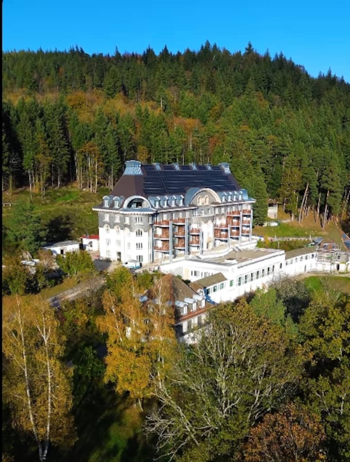 Domaine De Haslach - Studio Vue Forêt Supérieur - Orbey