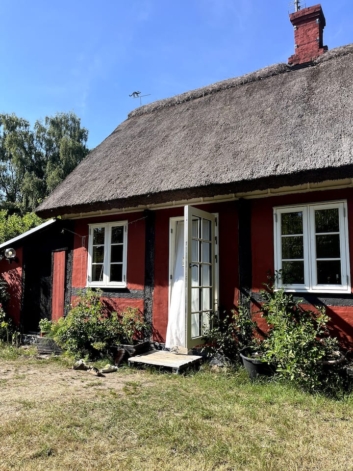 Hytte Ved Skov Og Bornholms Fineste Strand - Bornholm