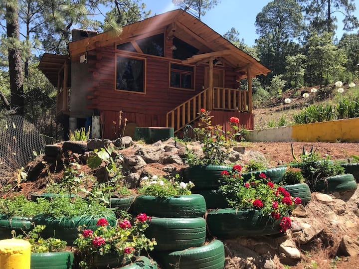 Cabaña La Puente # 5 - Michoacán