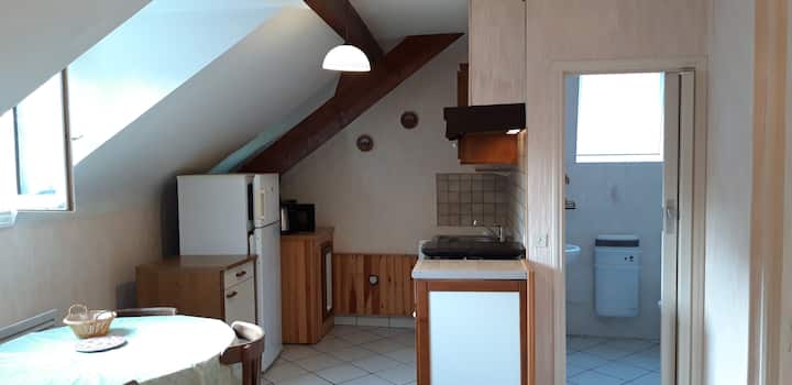 Grand Studio Centre-ville Calme - Lourdes