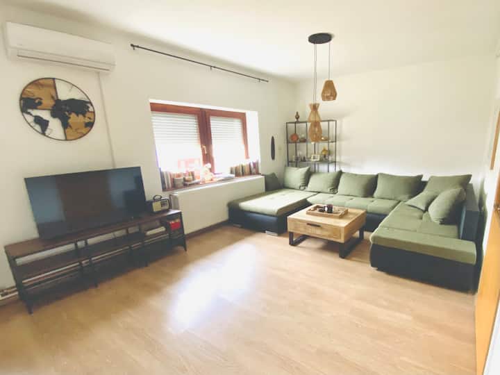 Vukovar Stork's Nest - Vukovar