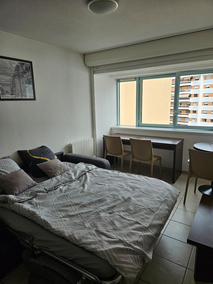 Studio Confortable - Annemasse