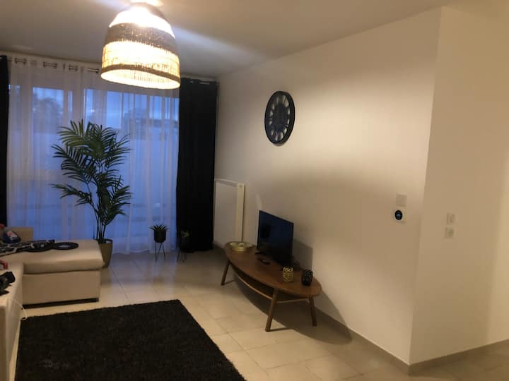 Appartement Spacieux - Antony