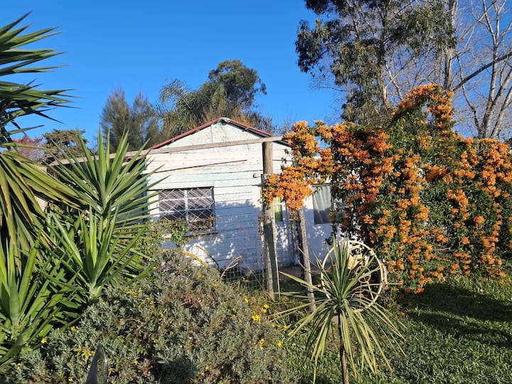 Cabaña Flor - Atlántida