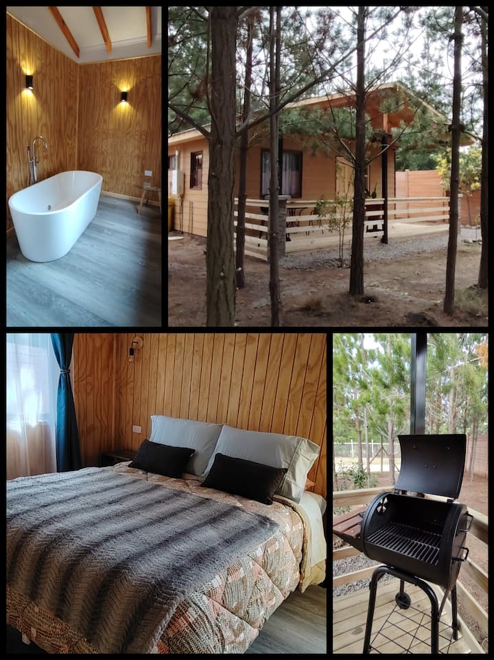 Pinos Del Mar Algarrobo-amulén - Algarrobo