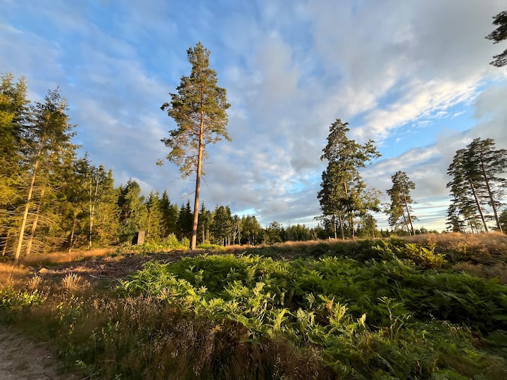 Alte Molkerei Auf Skarups Gard - Ronneby