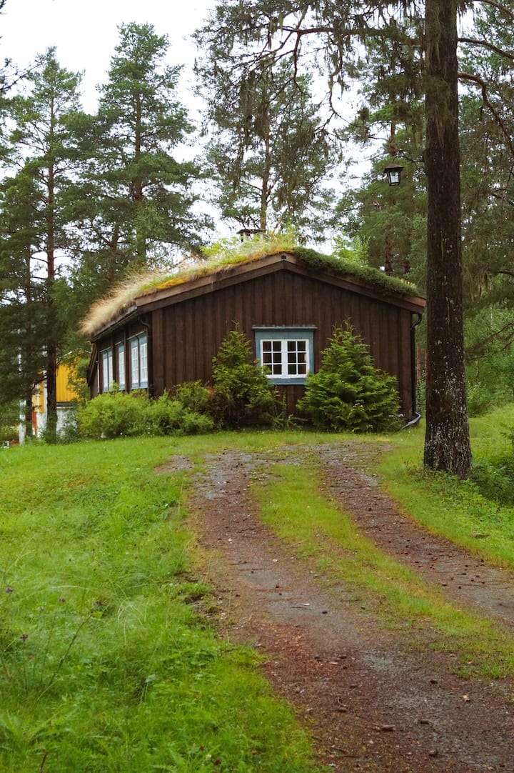 Hytte I Kopperå - Meråker