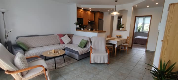 Spacious Apartment Near Central ŁóDź - Łódź