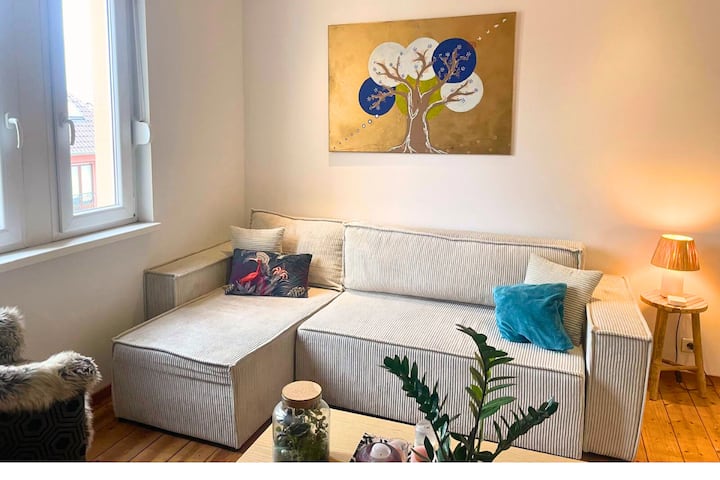 Sublime Duplex Chaleureux Et Accueillant - Estrasburgo