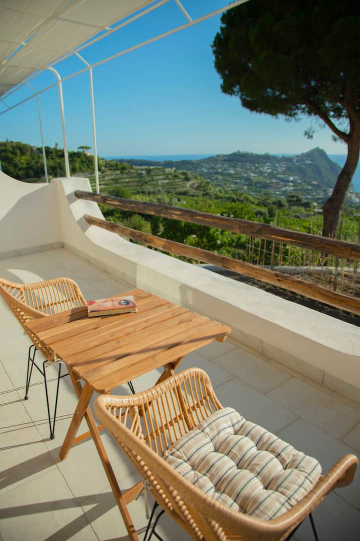 Villa Dei Barili - Vista Panoramica - Forio