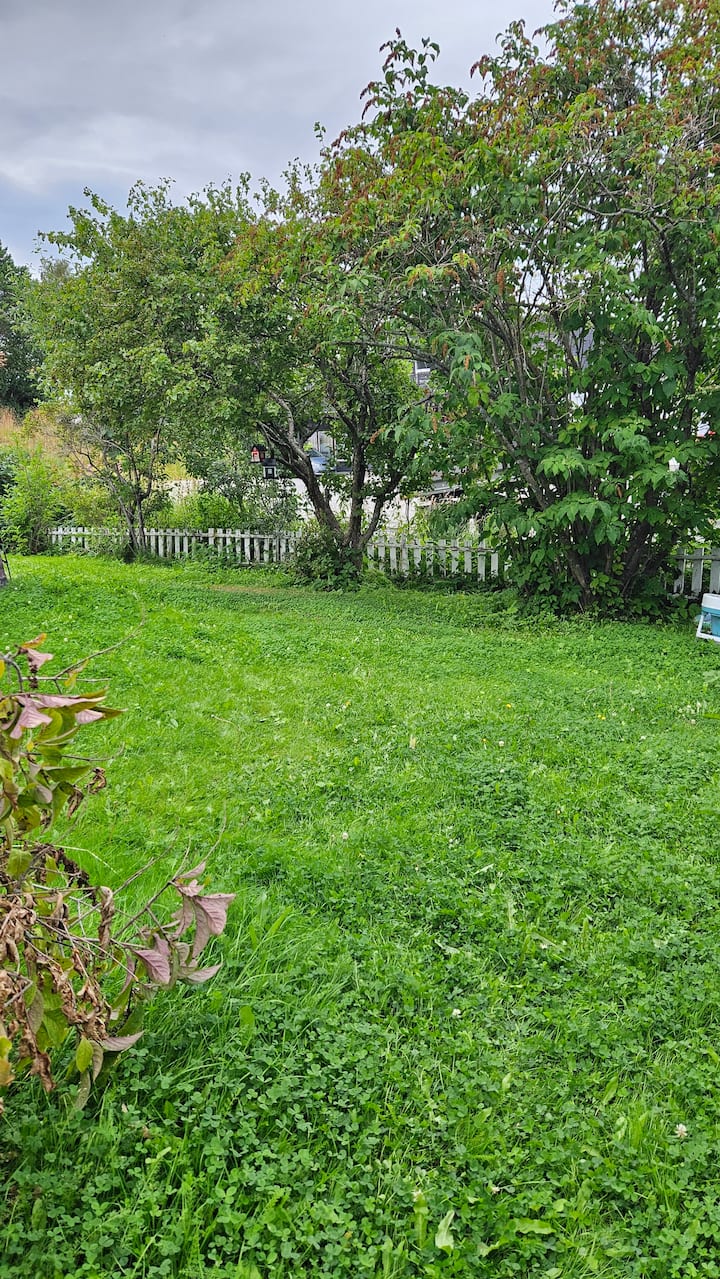 Teltplass A - Harstad