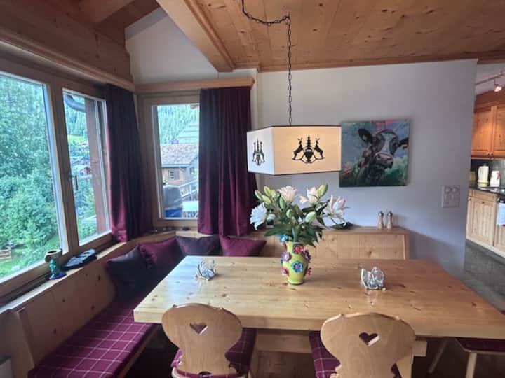 Gemütliche Panorama Wohnung! - Partenen