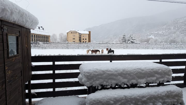 Rural D'àneu | Apartament Amb Terrassa A Esterri - Espot