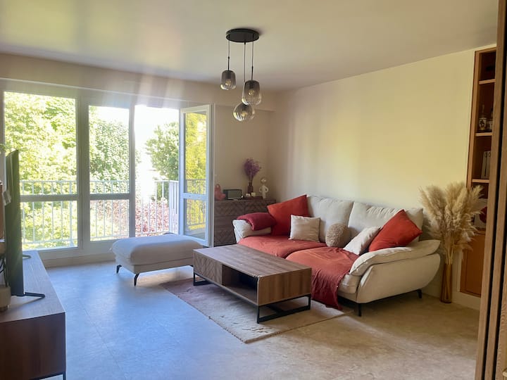 Appartement Cosy Et Lumineux - Nogent-sur-Marne
