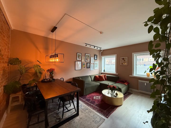 Romslig Og Sentral Leilighet - Oslo