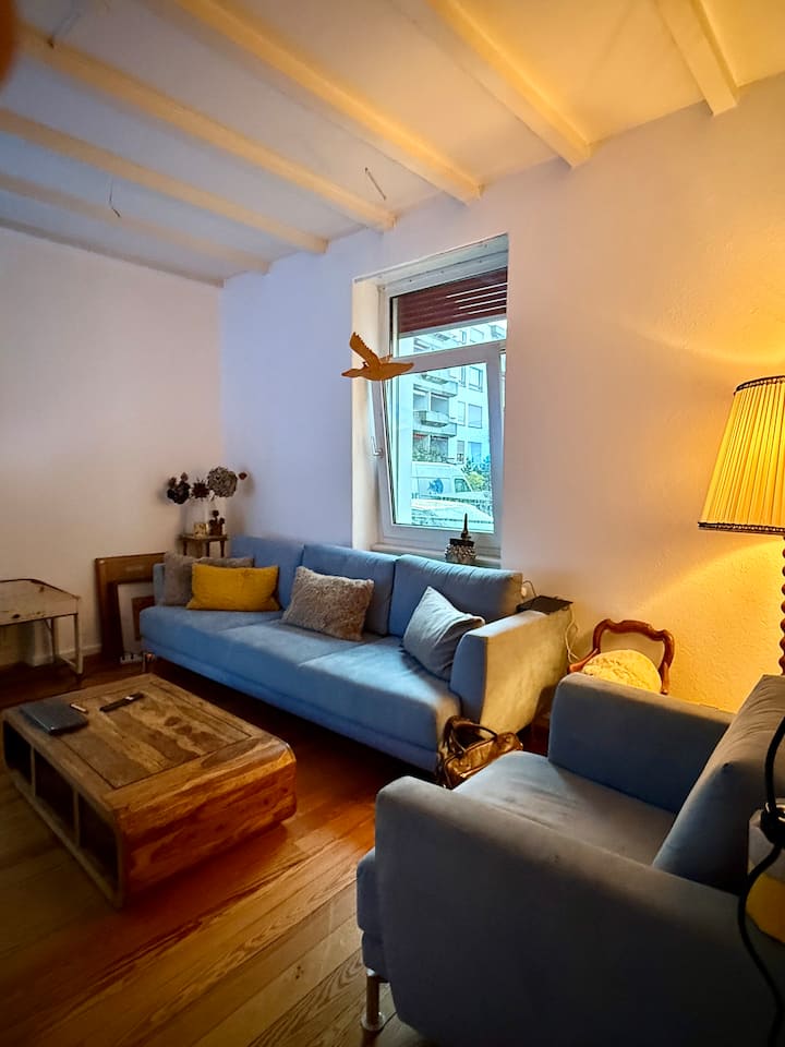 Family Home & Garden - Near City - Basilea