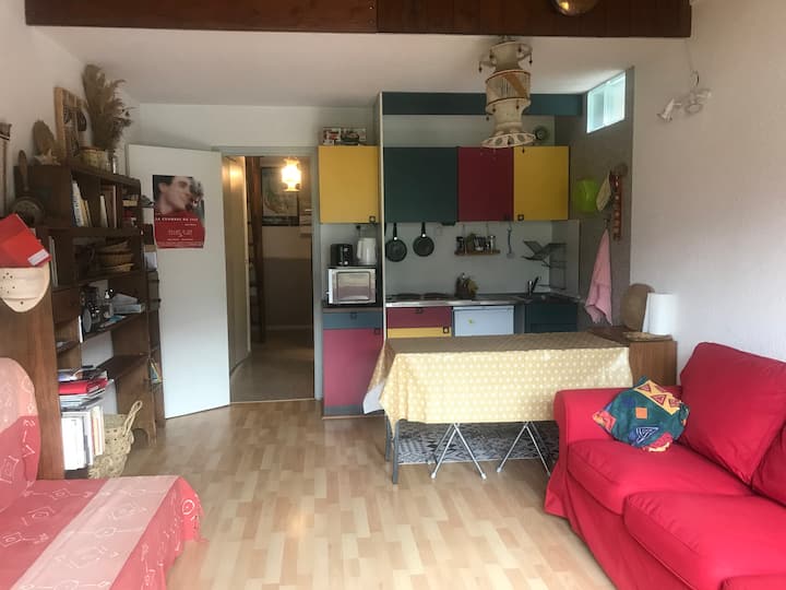 Appartement Au Pied Des ÉCrins - Puy-Saint-Vincent