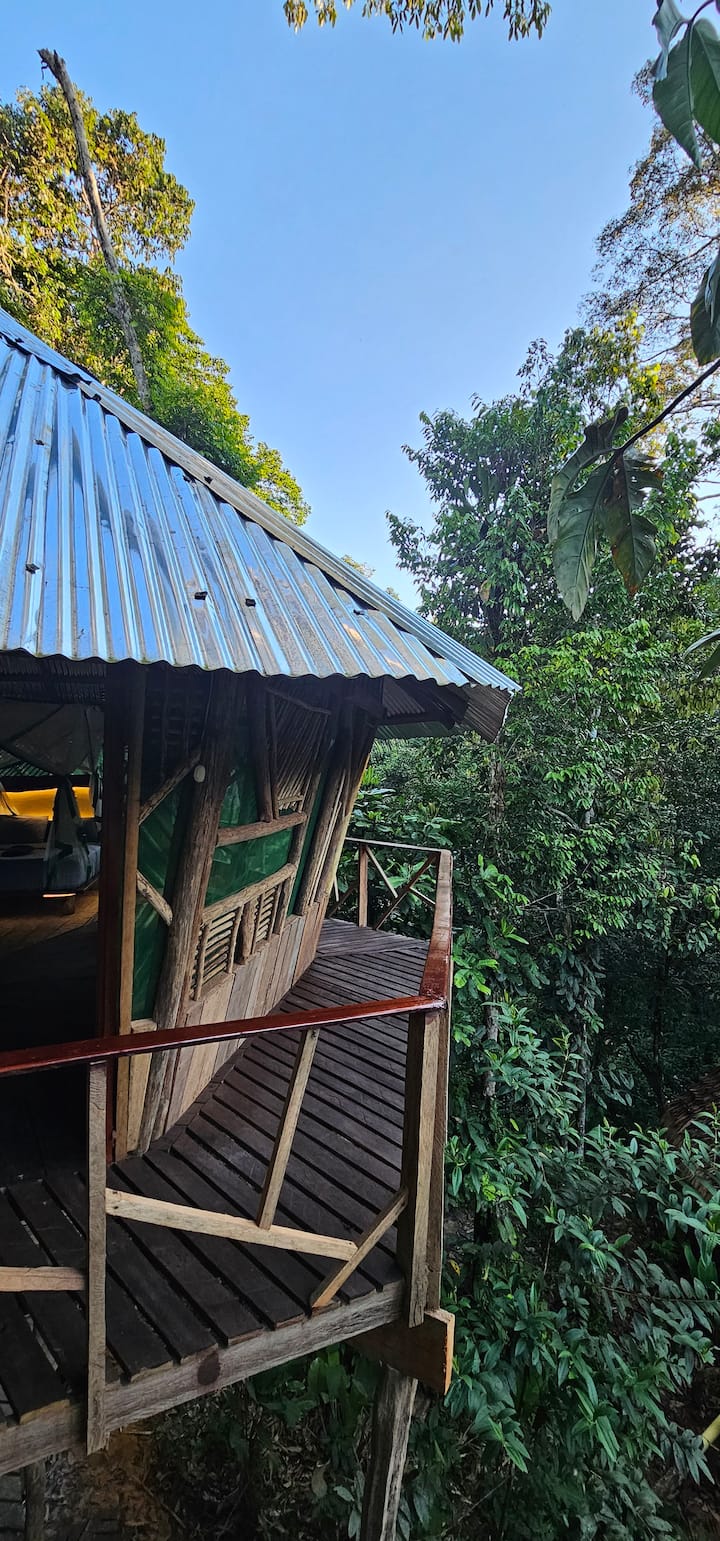 Casa Del áRbol- Kiosko El Tacana - Leticia