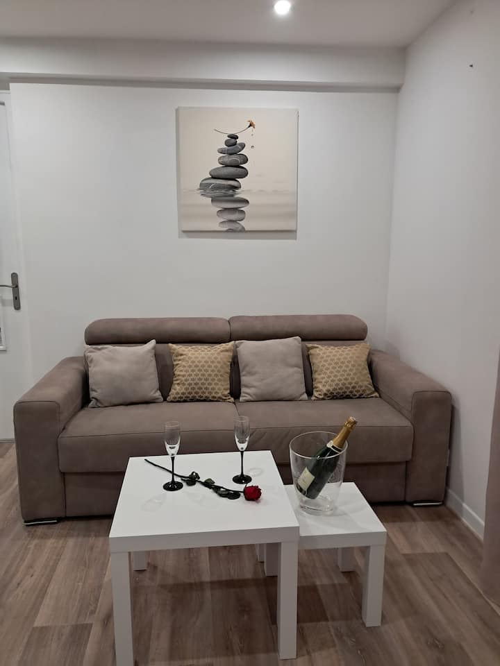 Appartement Rez De Jardin - Voiron