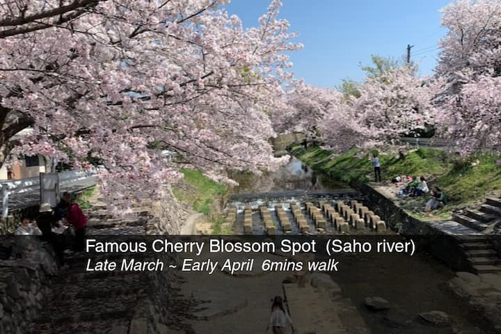 Renovated, Sakura, Laundry, Short Cut To Todaiji - Nara