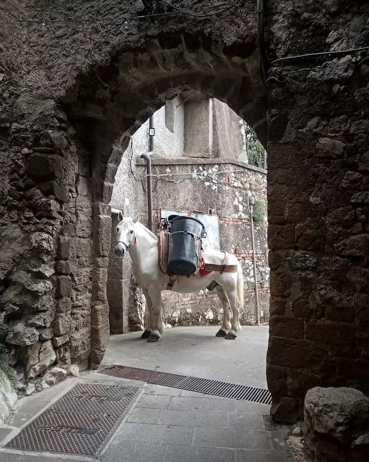 Accogliente Casina Nel Centro Storico Di Olevano. - Subiaco, Italy
