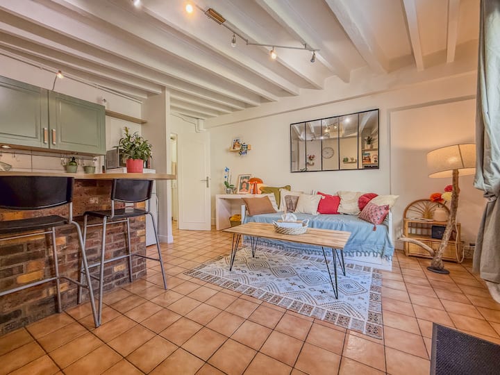 Appartement Avec Terrasse Proche Cathédrale - Chartres