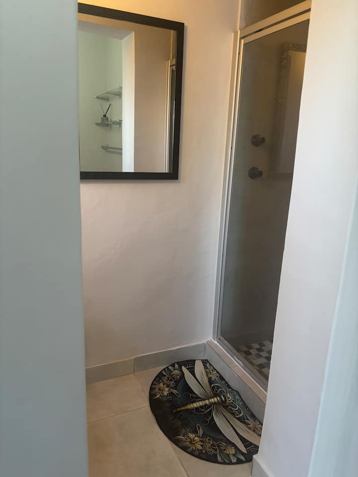 The Dragonfly - Paarl