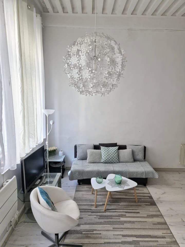 Joli Duplex Au Cœur De La Croix-rousse - Lyon