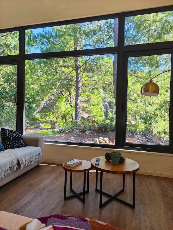 Acogedora Casa En La Precordillera Curicana - Chile