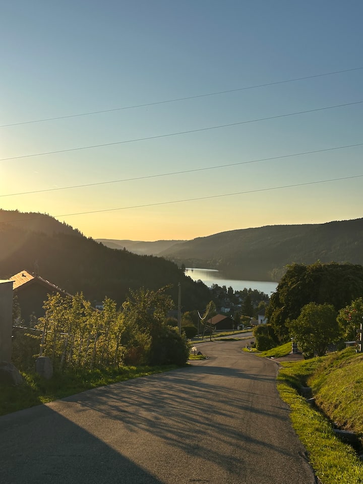 Vue Sur Le Lac Avec Terrasse - Gérardmer