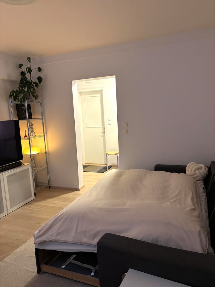 Appartment In Reykjavík - Iceland