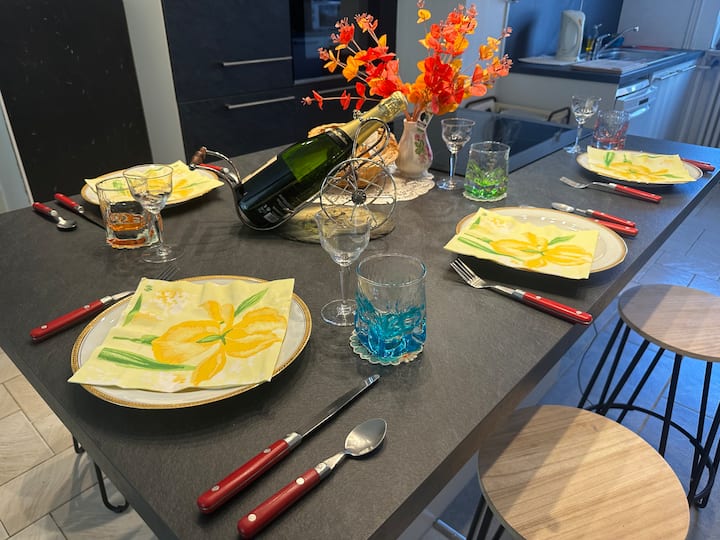 Metz - Maison Entière 100% Privative Avec Jardin - 메스