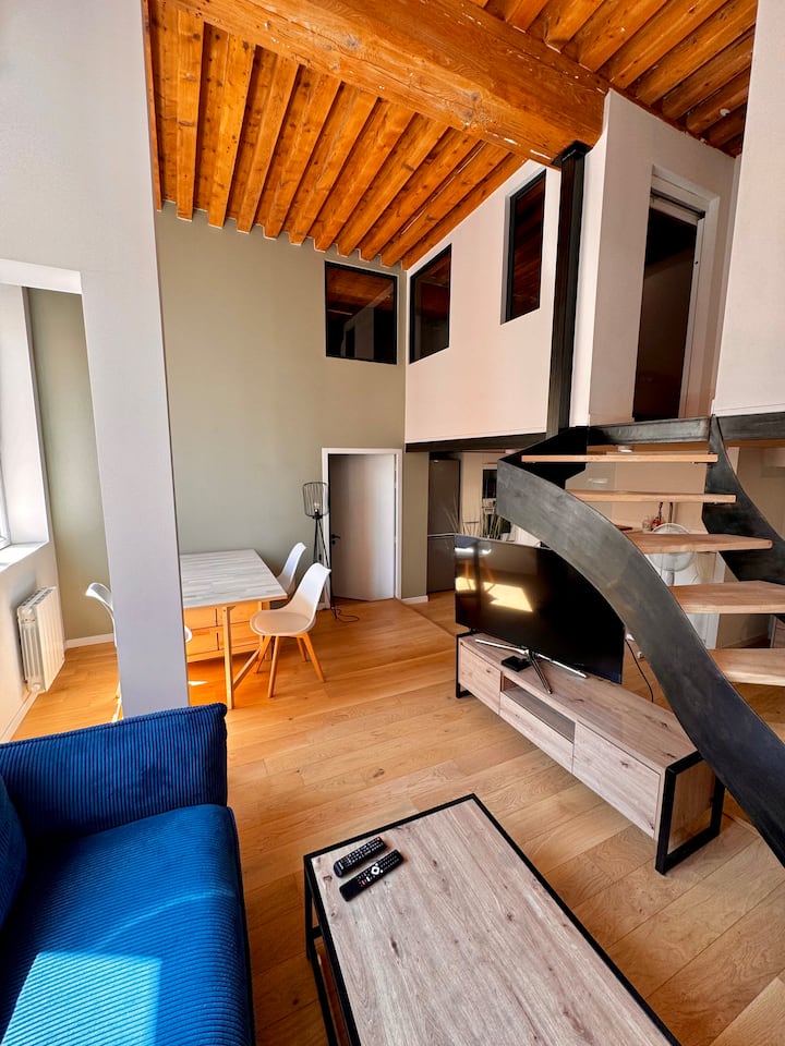 Appartement T3 Lyon Centre - Dardilly