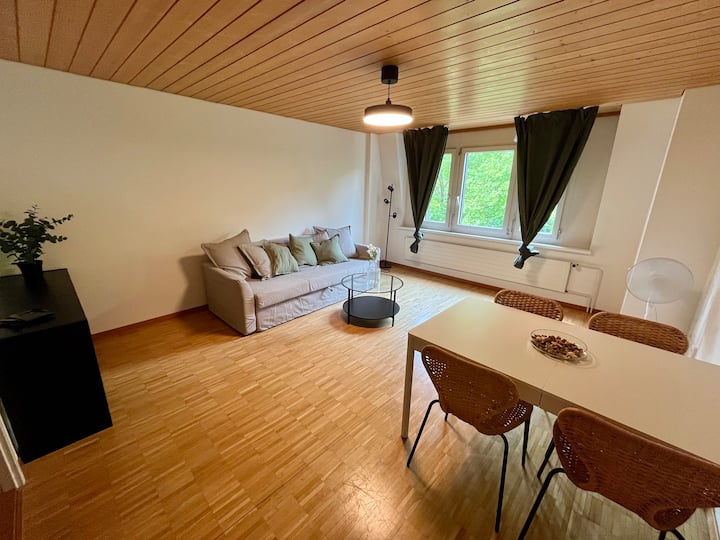 Appartement 1 Chambre Idéal Pour Un Court Séjour - Zurich