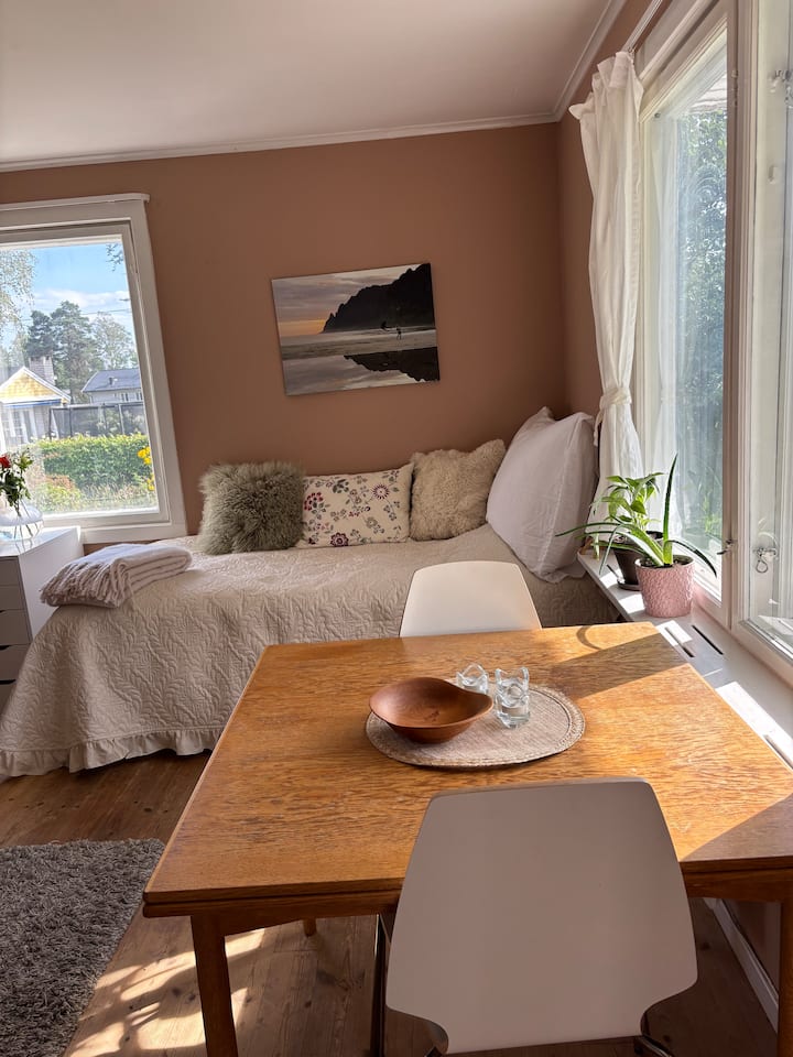 Koselig Leilighet, 2-3 Personer - Oslo