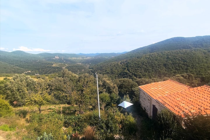 Vue Magique Et Luxuriante - Lamalou-les-Bains