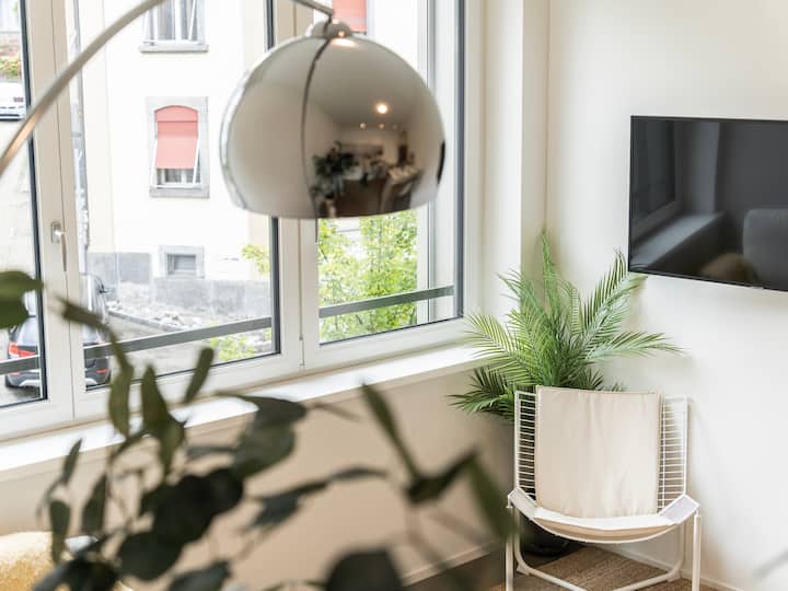 Zentrales Apartment | ÖV Ticket | Parking | Ruhig - St. Gallen