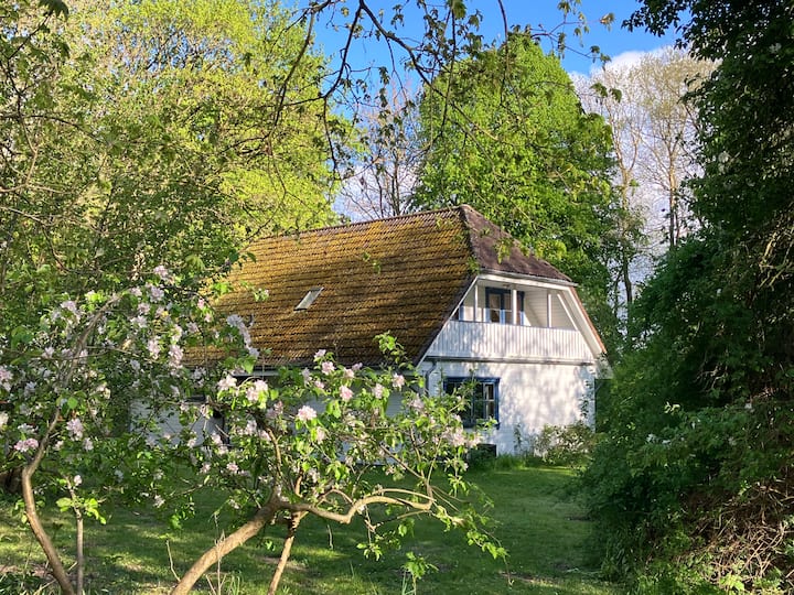 Teichhaus Mit Loggia Im Grünen Auf Gut Reischvitz - Ralswiek
