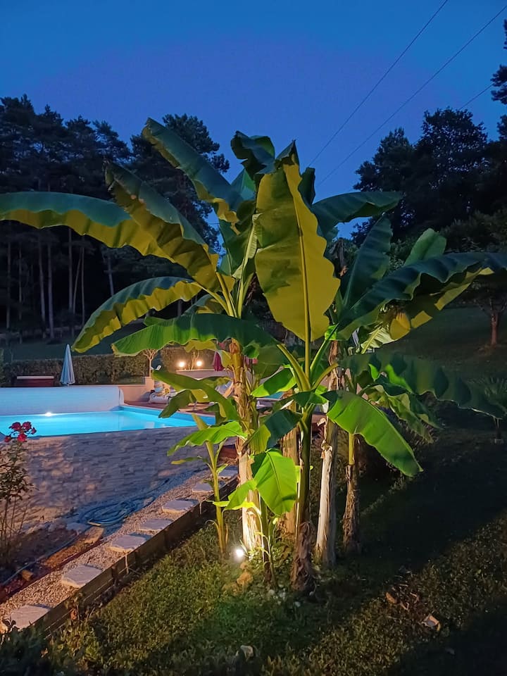 La Marceline Gîte Avec Piscine Près De Lascaux Iv - Montignac